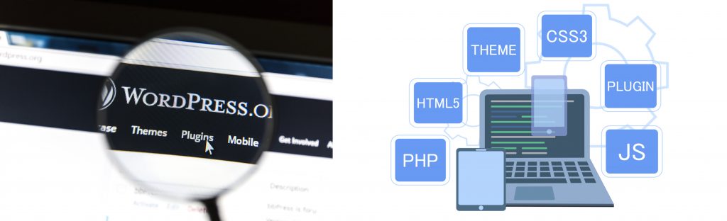 WordPress vs HTML Which Is Best For You - BWD